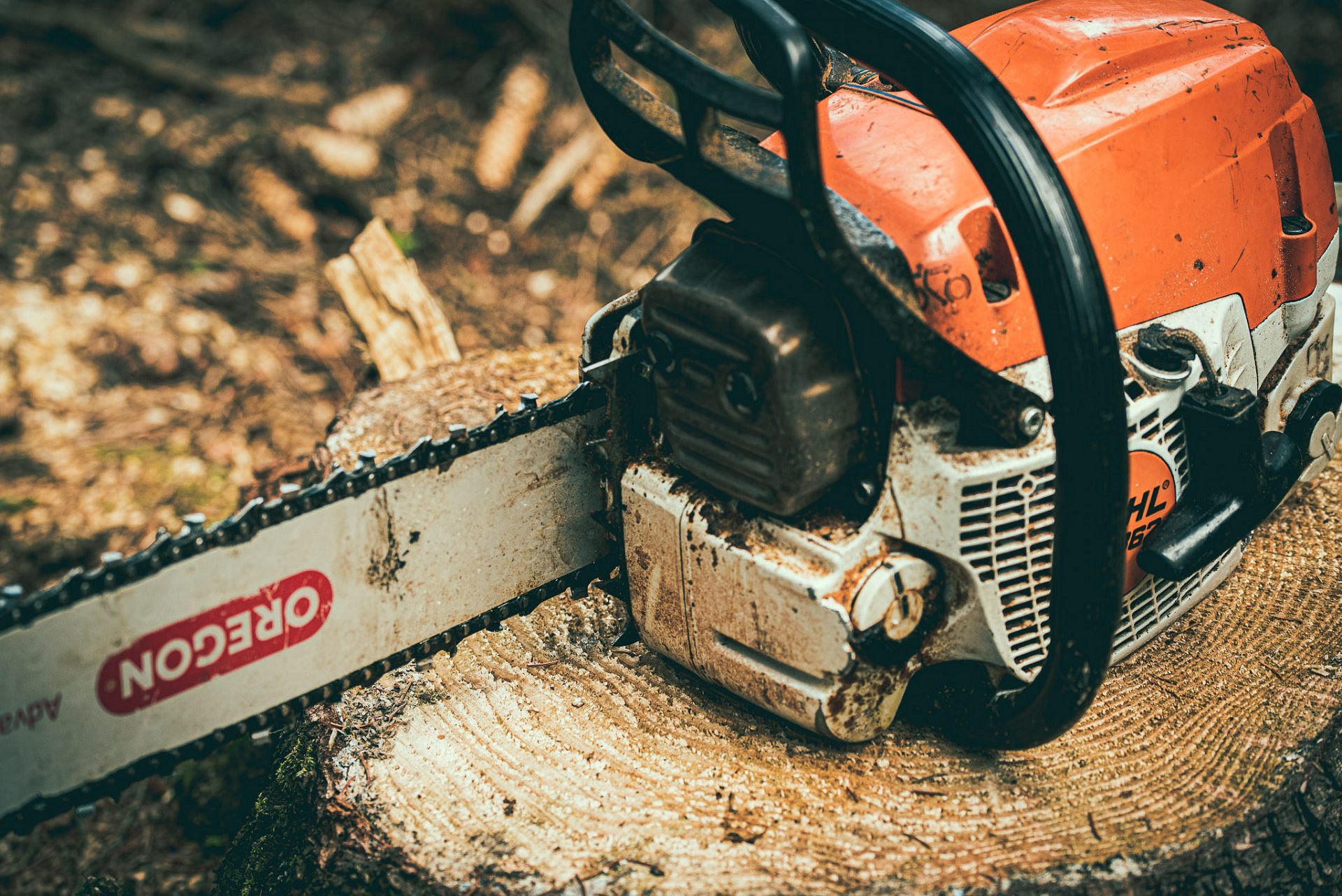 Arbeiten im Wald mit Motorsäge und Kluppe - Forstwirt*in - Forst erklärt
