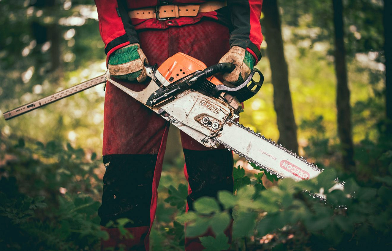 Was ist Forstwirtschaft? Ein Überblick über die Arbeit von Förster ...