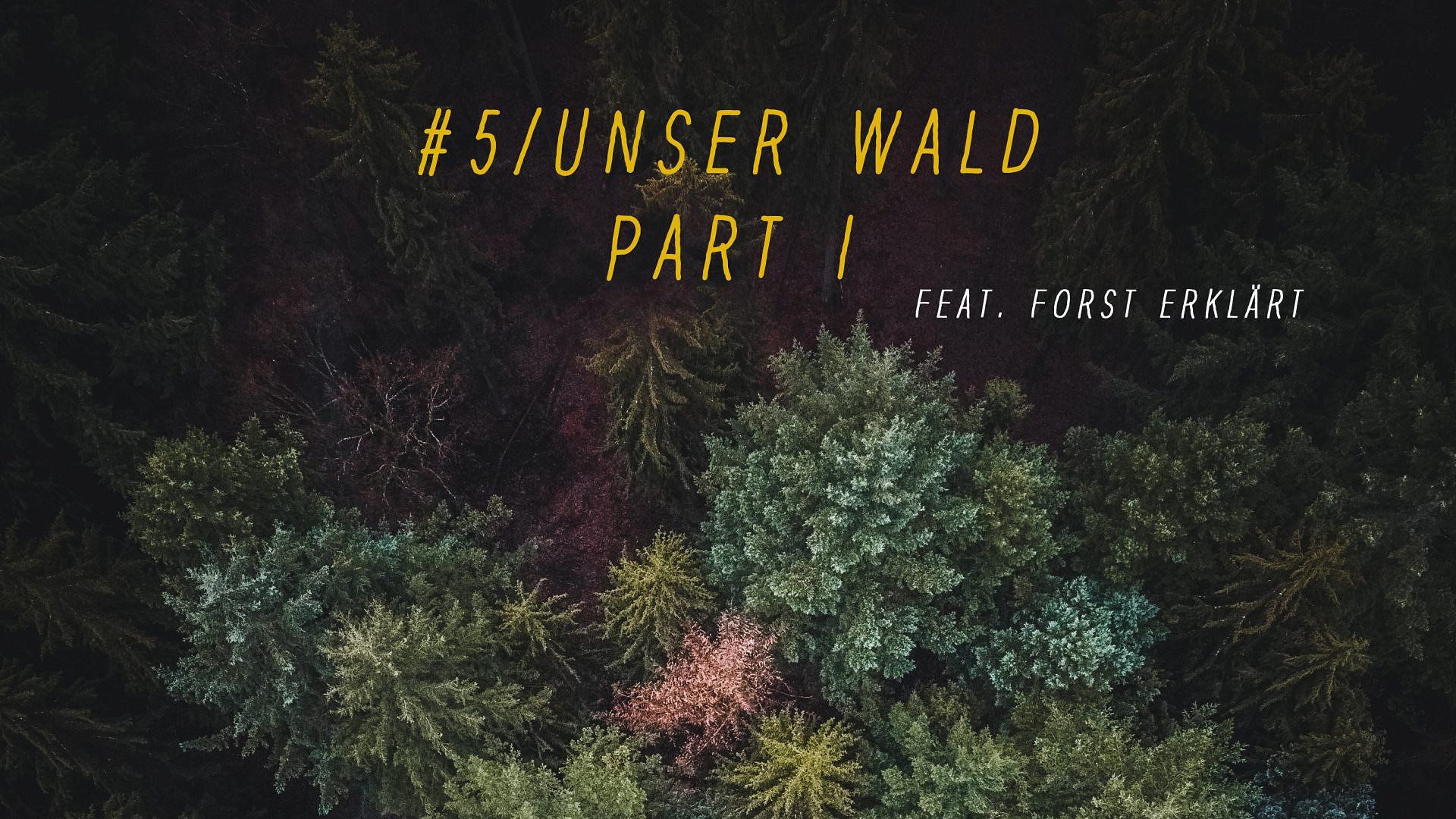 Forst erklärt zum Anhören - Zu Gast beim Podcast "Talking Wild" - Podcast