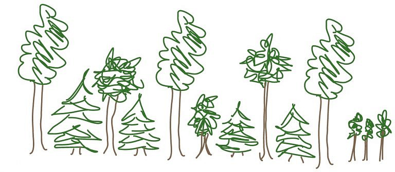 Von der Monokultur zum klimastabilen Mischwald - So gelingt der ...