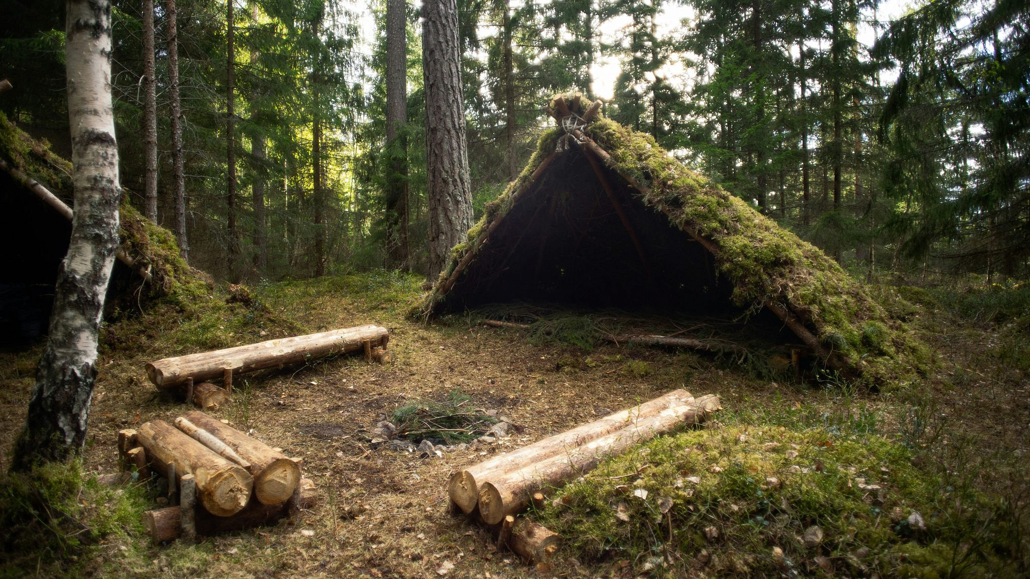 Modernes Hobby im Wald: Bushcrafting - Forst erklärt