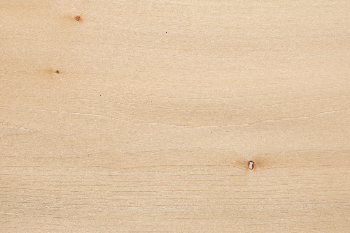 Unsere Bäume: Die Sommer- und Winter-Linde - Forst erklärt