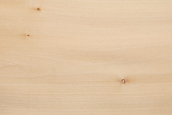 Unsere Bäume: Die Sommer- und Winter-Linde - Forst erklärt