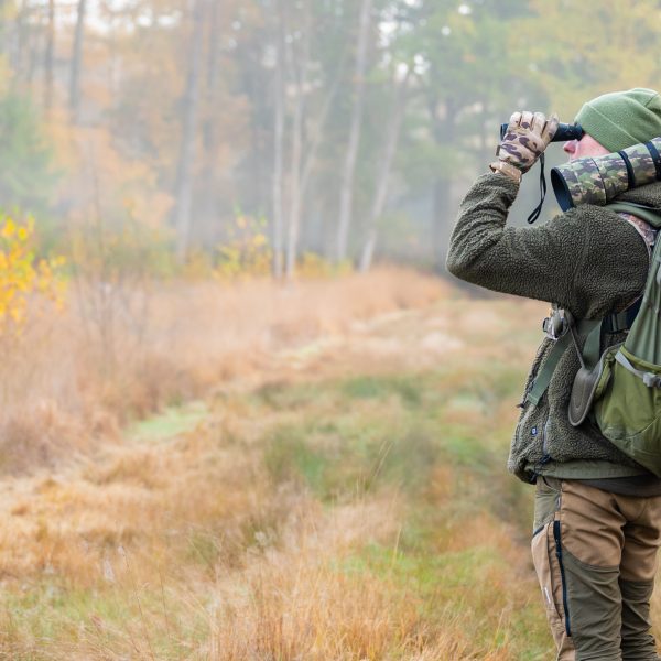 Ein Fuchs muss tun, was ein Fuchs tun muss - Forst erklärt